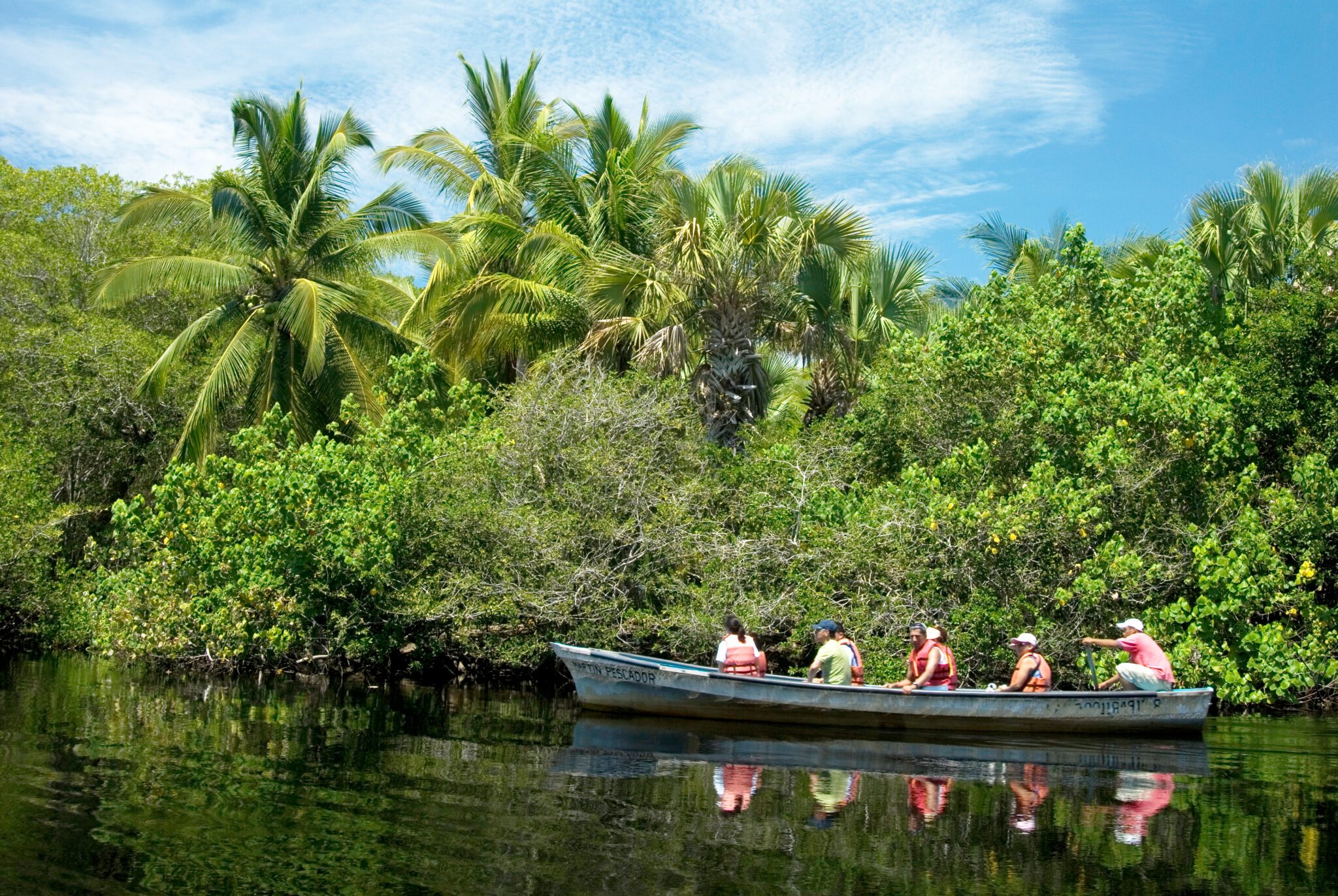 Ecotour – agencias.mexitours