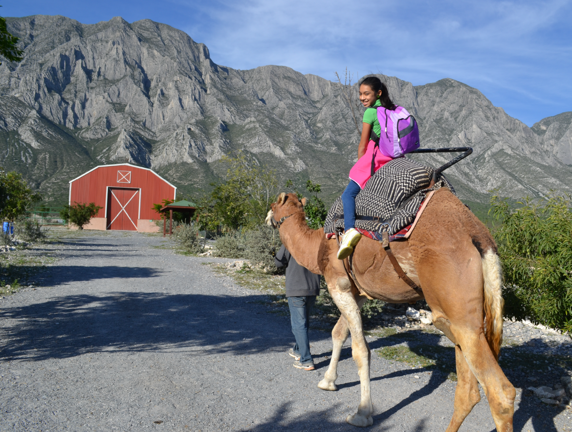 Monterrey Garcia Caves – agencias.mexitours