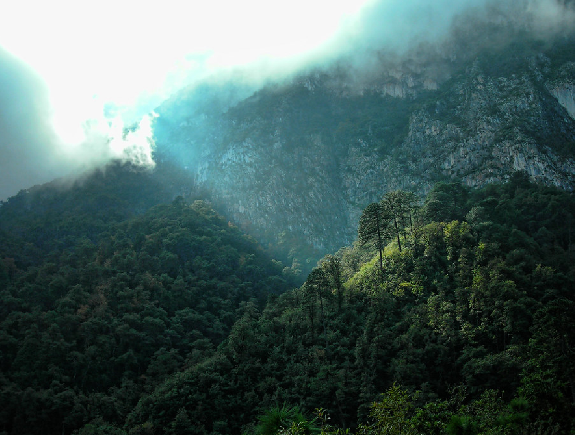 Monterrey – agencias.mexitours